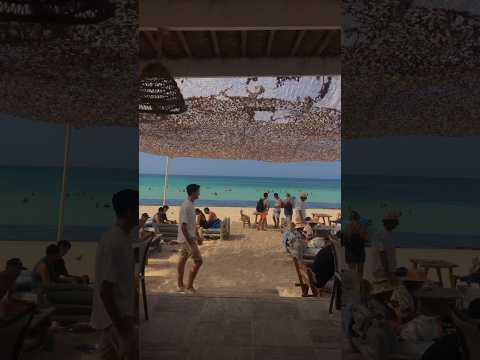 Beach day #djerba #tunisia #viral 🇹🇳🇹🇳🇹🇳🇹🇳🇹🇳🇹🇳🇹🇳