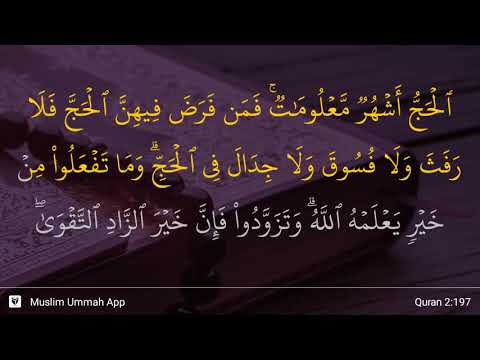 Al-Baqarah ayat 197