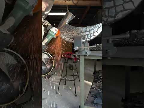 @sarah_stork_ Flap disc knock down on sea turtle flippers