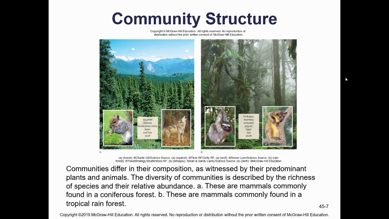 Dr. Hinkey's Bio 101 Chapter 45 Video Lecture