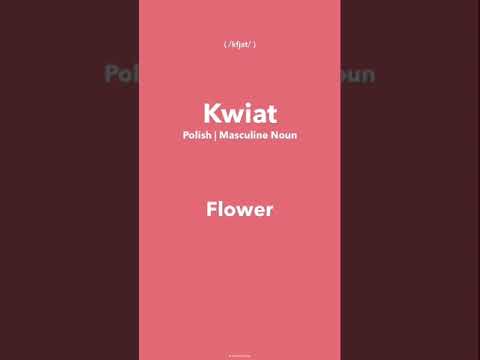 Kwiat | Polish