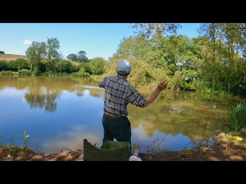 Fishing at Amazing Secluded Lake in England (What is in this water?!)
