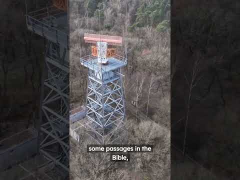 Are Aliens Real? What Does the Bible Say?