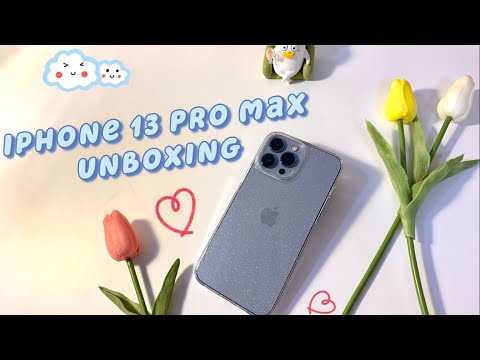 π Unboxing iPhone 13 Pro Max 256GB Sierra Blue βοΈβ¨ + Cute Accessories π§Έπ·