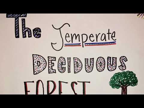 The Temperate Deciduous Forest 3A