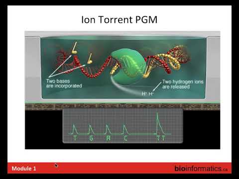 Introduction to Cancer Genomics