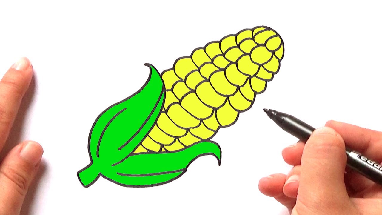 CÓMO DIBUJAR UNA MAZORCA DE MAÍZ paso a paso - dibujo de una mazorca de maíz