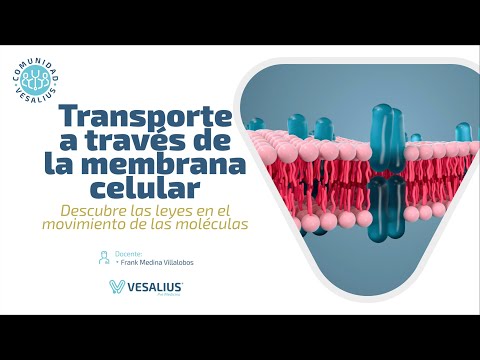 CLASE MAGISTRAL: TRANSPORTE A TRAVÉS DE LA MEMBRANA CELULAR