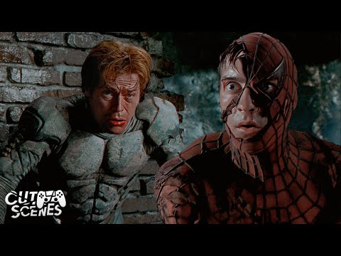 Spider-Man Defeats The Green Goblin | Spider-Man (2002)