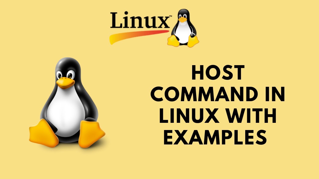 Host Command In Linux With Examples | Linux Command Line Basics Tutorials