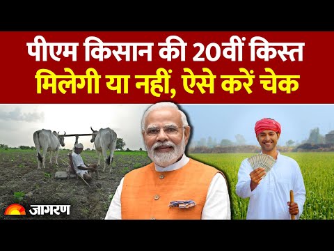 PM Kisan Nidhi Yojana 20th Installment: कब आएगी पीएम किसान की 20वीं किस्त? मिलेगी या नहीं। Top News