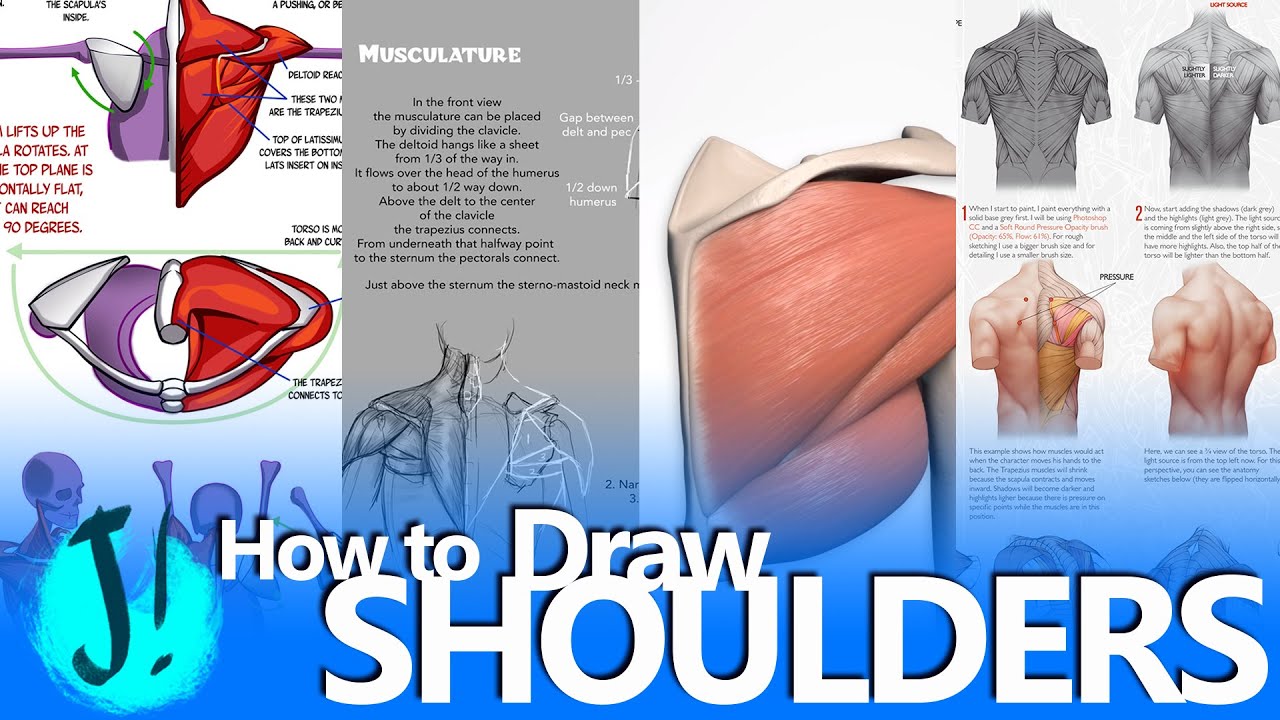 THE BEST TUTORIALS FOR DRAWING SHOULDERS