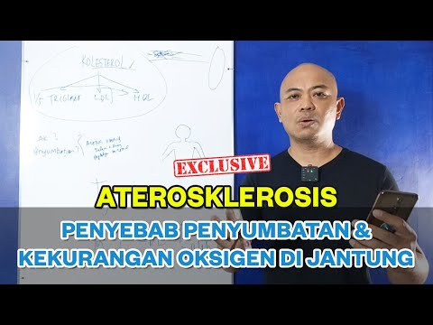 Aterosklerosis l Kolesterol