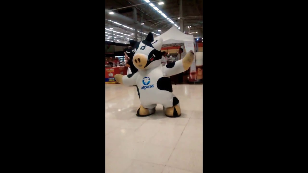 La vaquita Alpura bailando