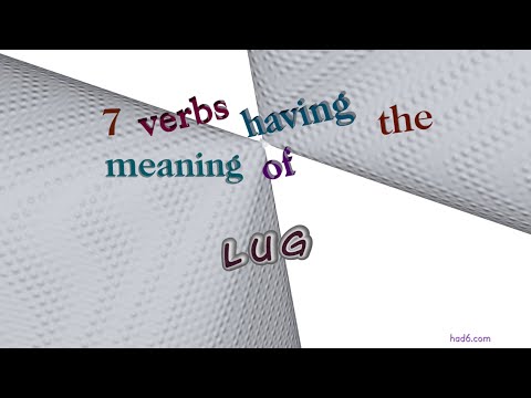lug - 14 verbs having the meaning of lug (sentence examples)