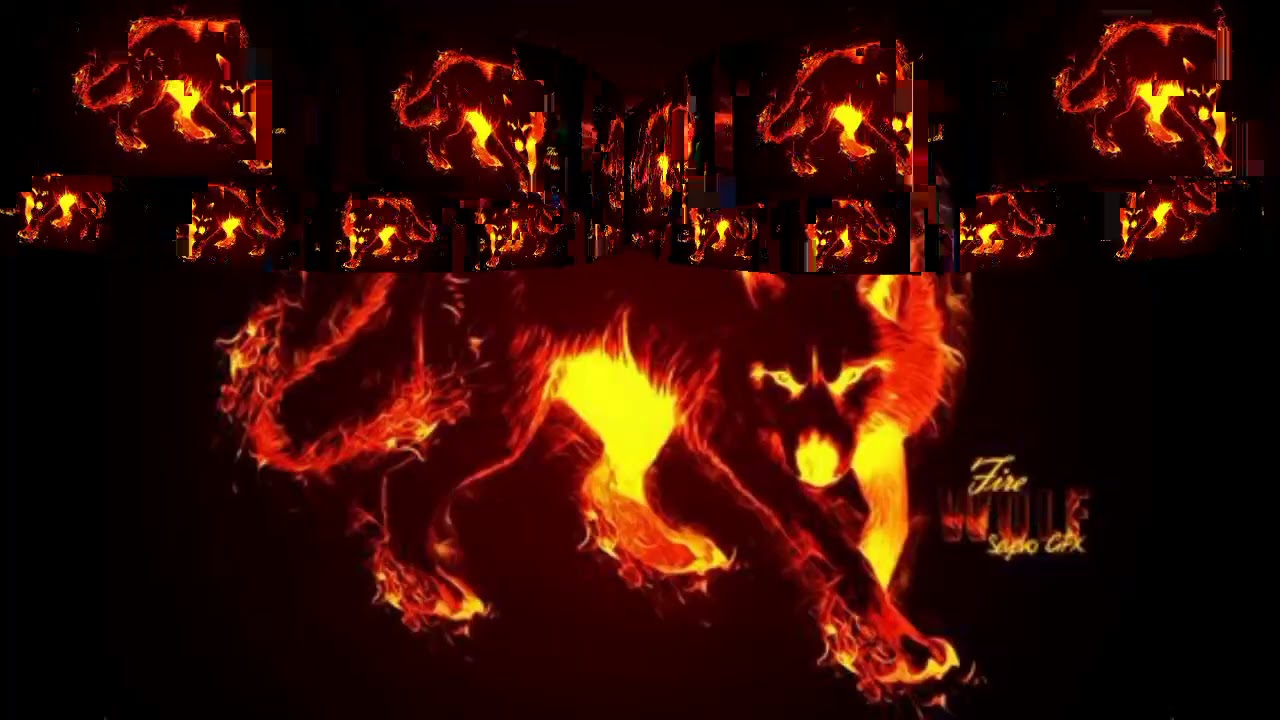 Best fire wolf pictures