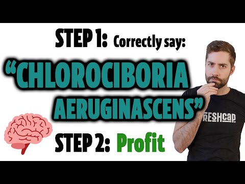 Mushroom “Scientific Names" are SUPER Important And Easy To Learn (Latin Binomials)