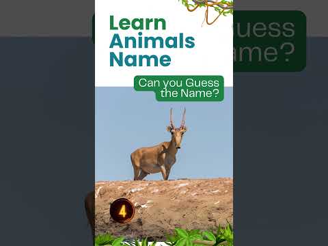 Learn Animal Names with Pictures | Part 1 | Animal Vocabulary for Kids | Educational Video