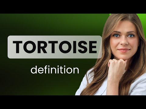 Tortoise ⢠what is TORTOISE meaning