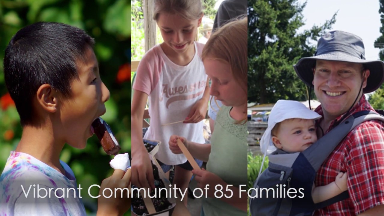 Welcome to Ballard P-Patch