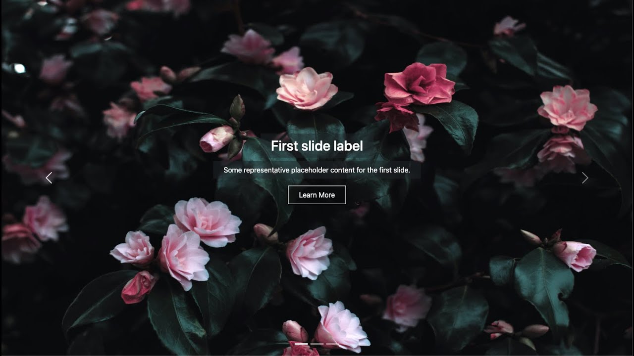 Bootstrap Carousel Full Width With Captions In The Center