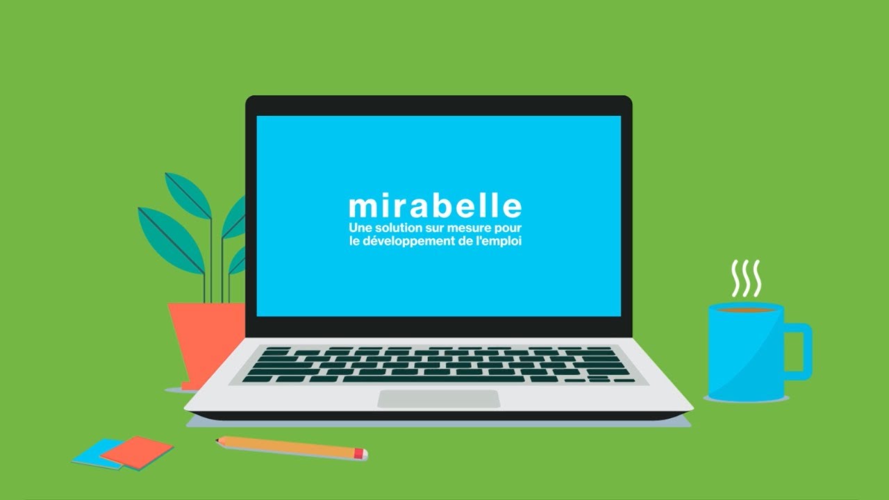 Présentation de l'outil mirabelle