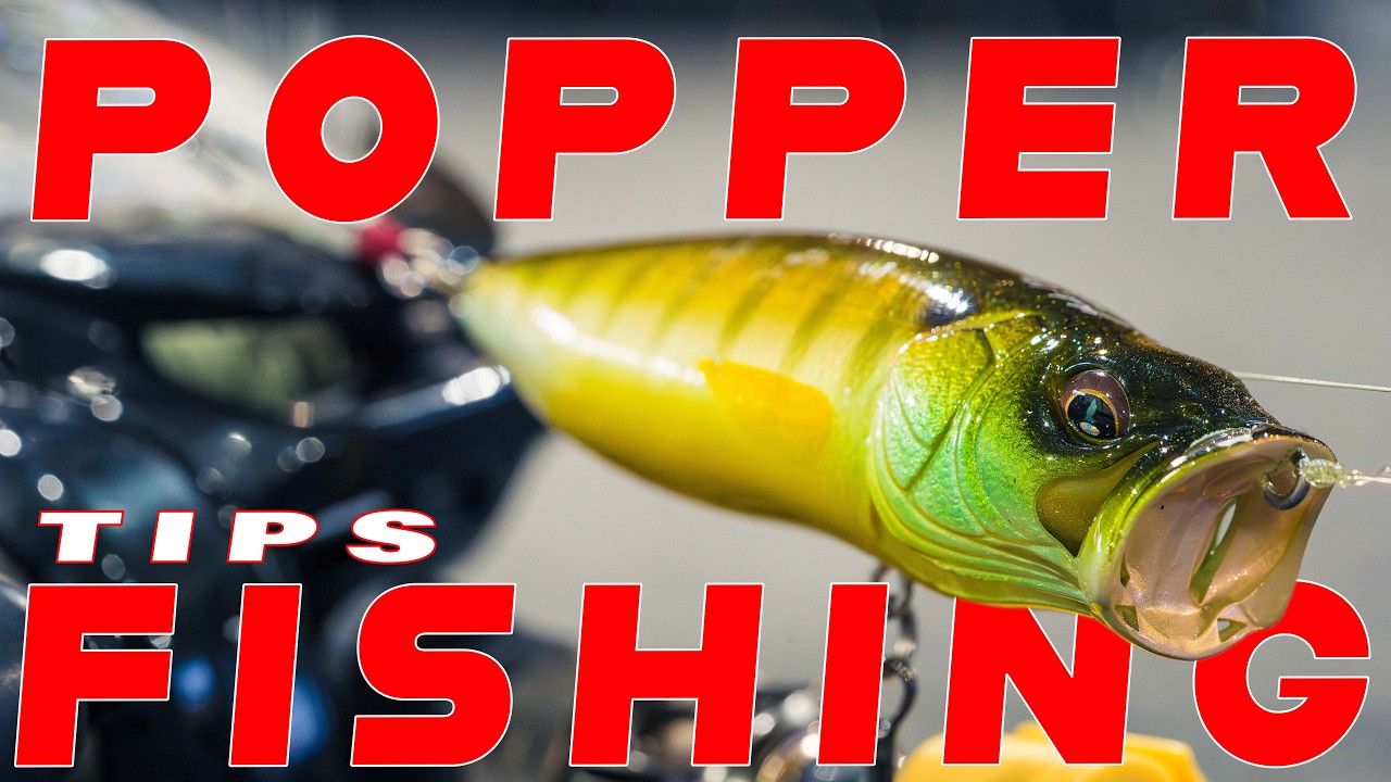 Topwater Poppers: Everything You Need to Know! (Beginner To Advanced)