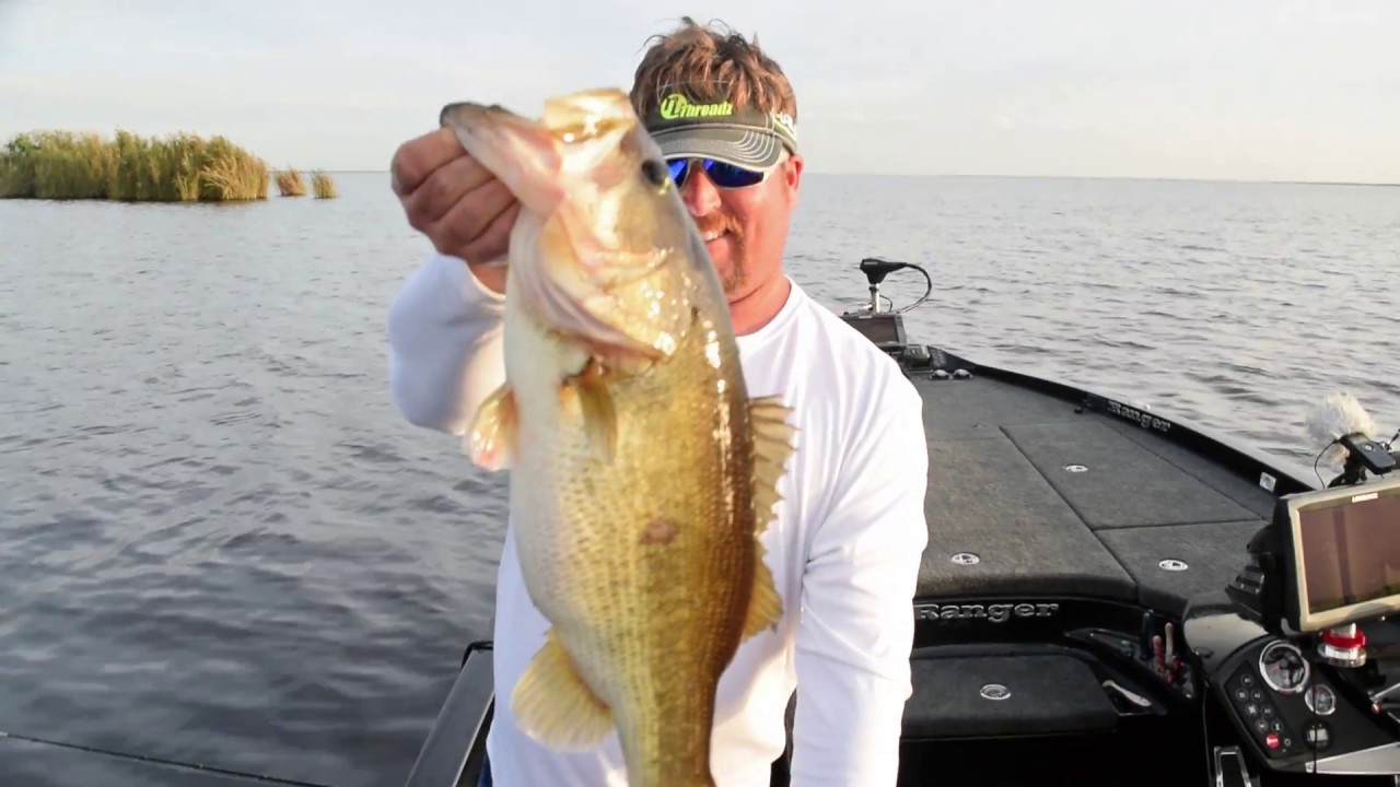 How to fish Stick Marsh ~ 101 ~ where to look, what to throw, catch some fish