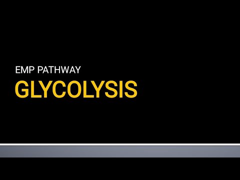 # glycolysis - the EMP pathway...