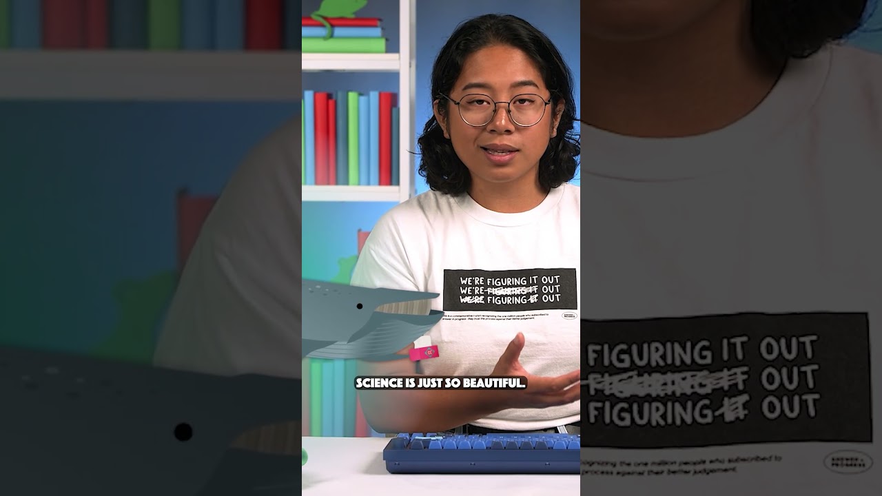 Keeping Track of Data with ArrayLists