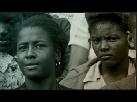 Watch the Trailer – The playmaker