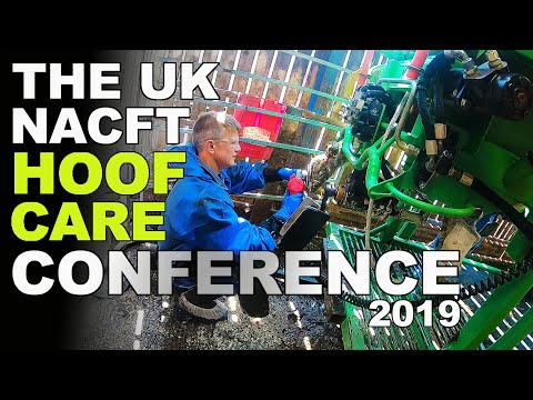 The UK Lameness Conference Highlights | TheHoofGP