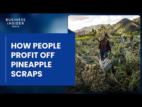 How People Profit Off Pineapple Scraps