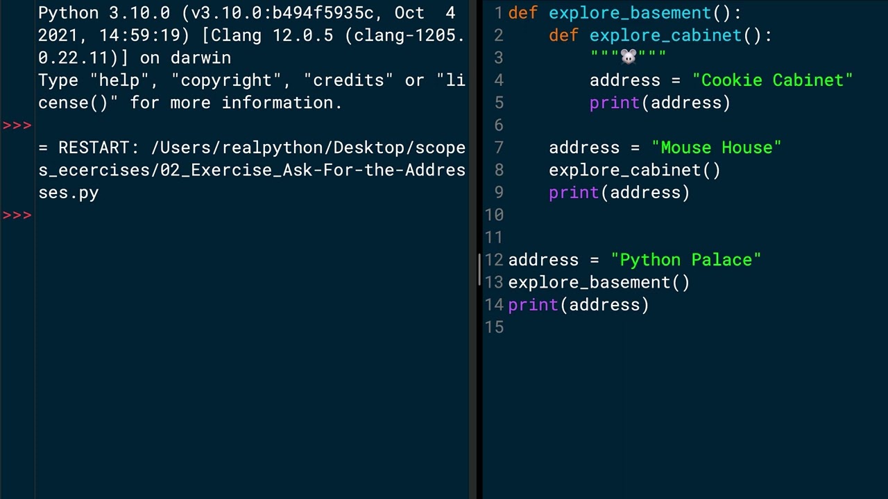 Working With Scopes Practice: Python Basics Exercises