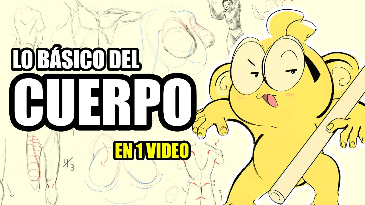 Cómo Dibujar Anatomía Básica (Guia Completa 2024)