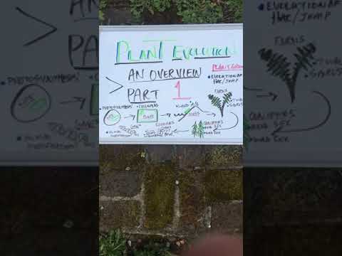 3.5 Billion Years of Plant Evolution Explained in 2 Minutes