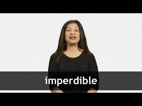 English Translation of “IMPERDIBLE” | Collins Spanish-English Dictionary