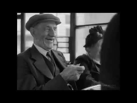 The elephant will never forget (1953)