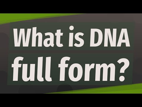 What is DNA full form?