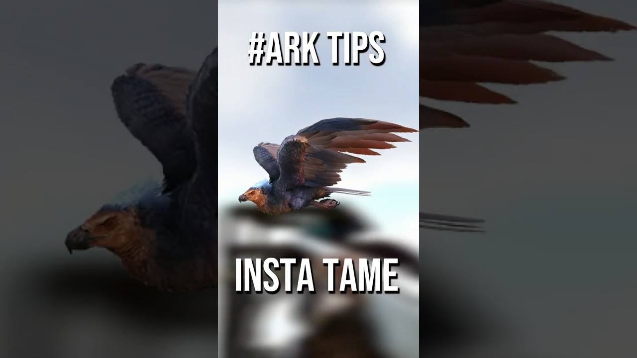 Argentavis Insta Tame