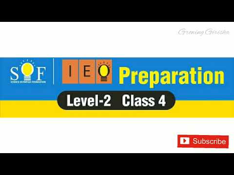 IEO Level 2 for Class 4