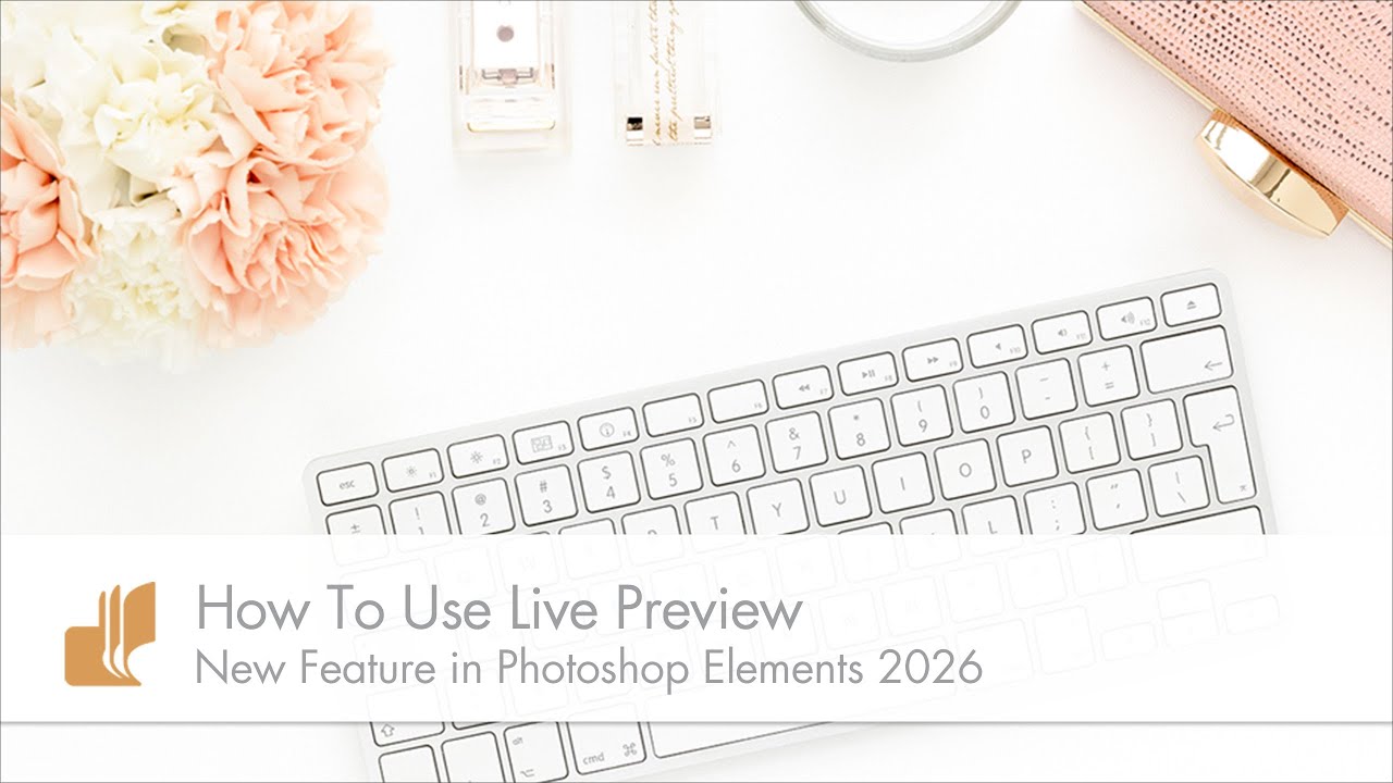 How To Use Live Preview & Live Blend Mode Preview