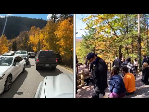 Inside Edition – Alison Hall