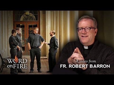 Advice from Father Barron on the New Evangelization – The Baker Deep ...