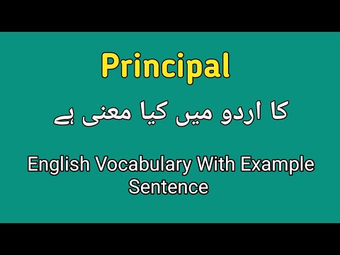 Principal meaning in Urdu | principal meaning in English to Urdu