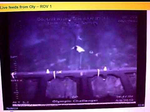 THE BLACK GOO: Those alien transforming metal eating bugs and mutant ...