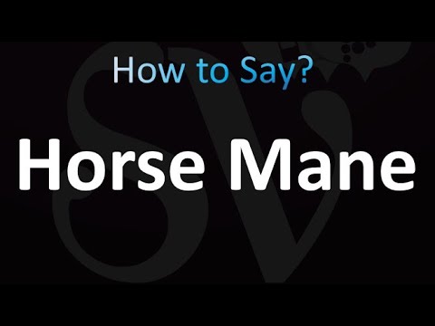 How to Pronounce Horse Mane (correctly!)
