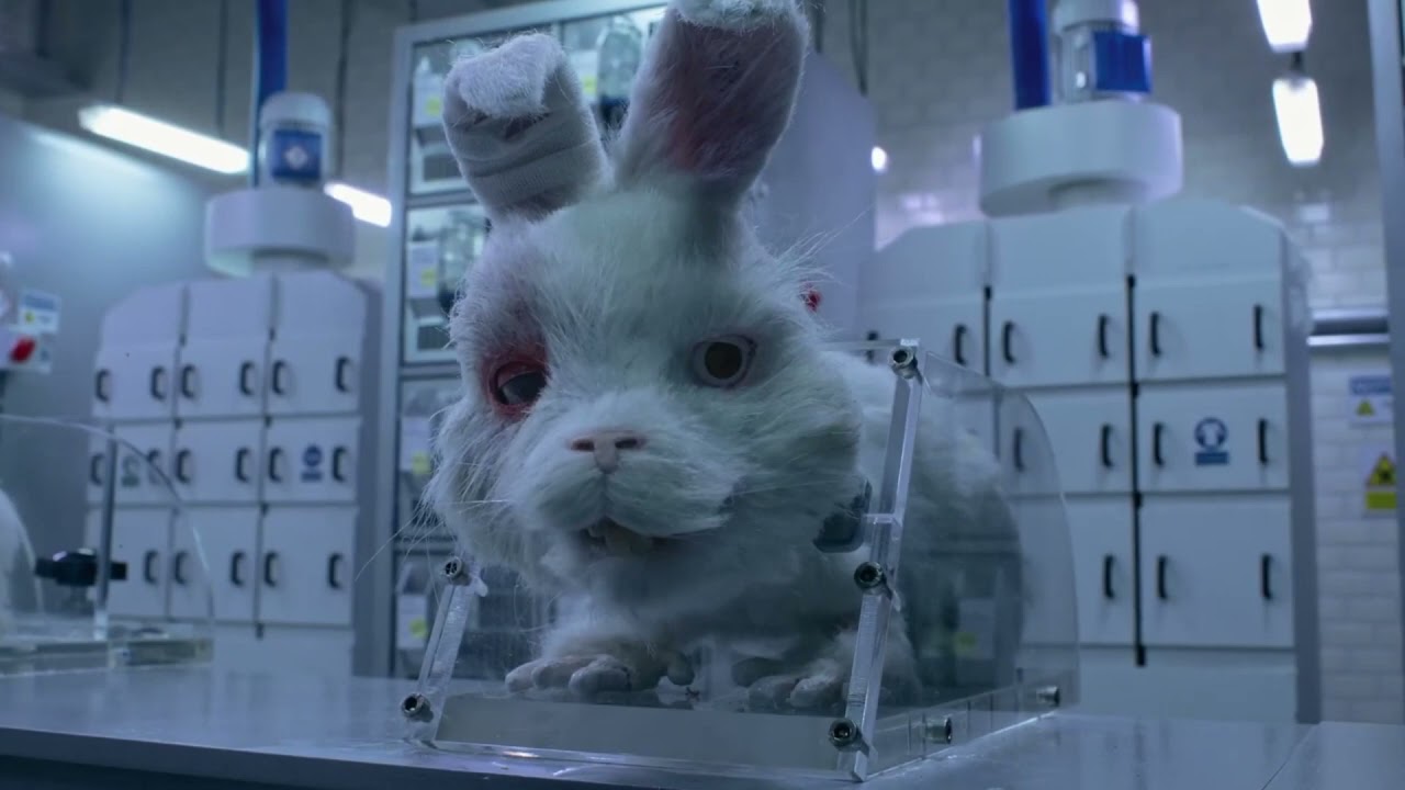 #SaveRalph CORTOMETRAJE CONTRA LAS PRUEBAS COSMÉTICAS EN ANIMALES