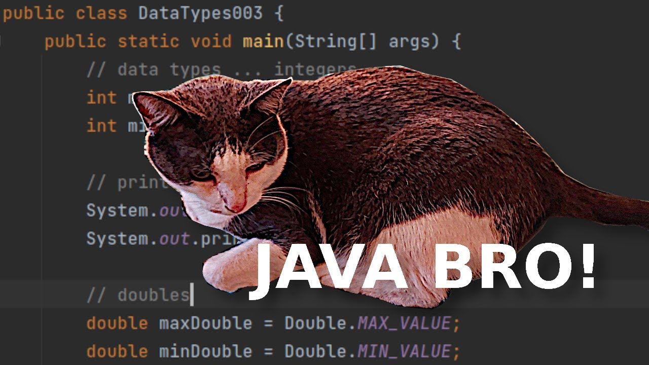 Java 101 Part 2, Strings, For, While, Do While Loops