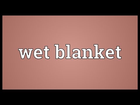 Wet blanket Meaning